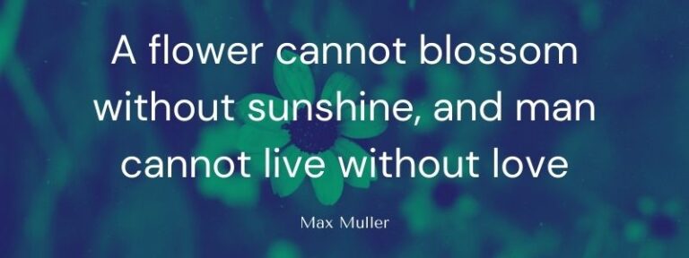 A flower cannot blossom without sunshine, and man cannot live without ...